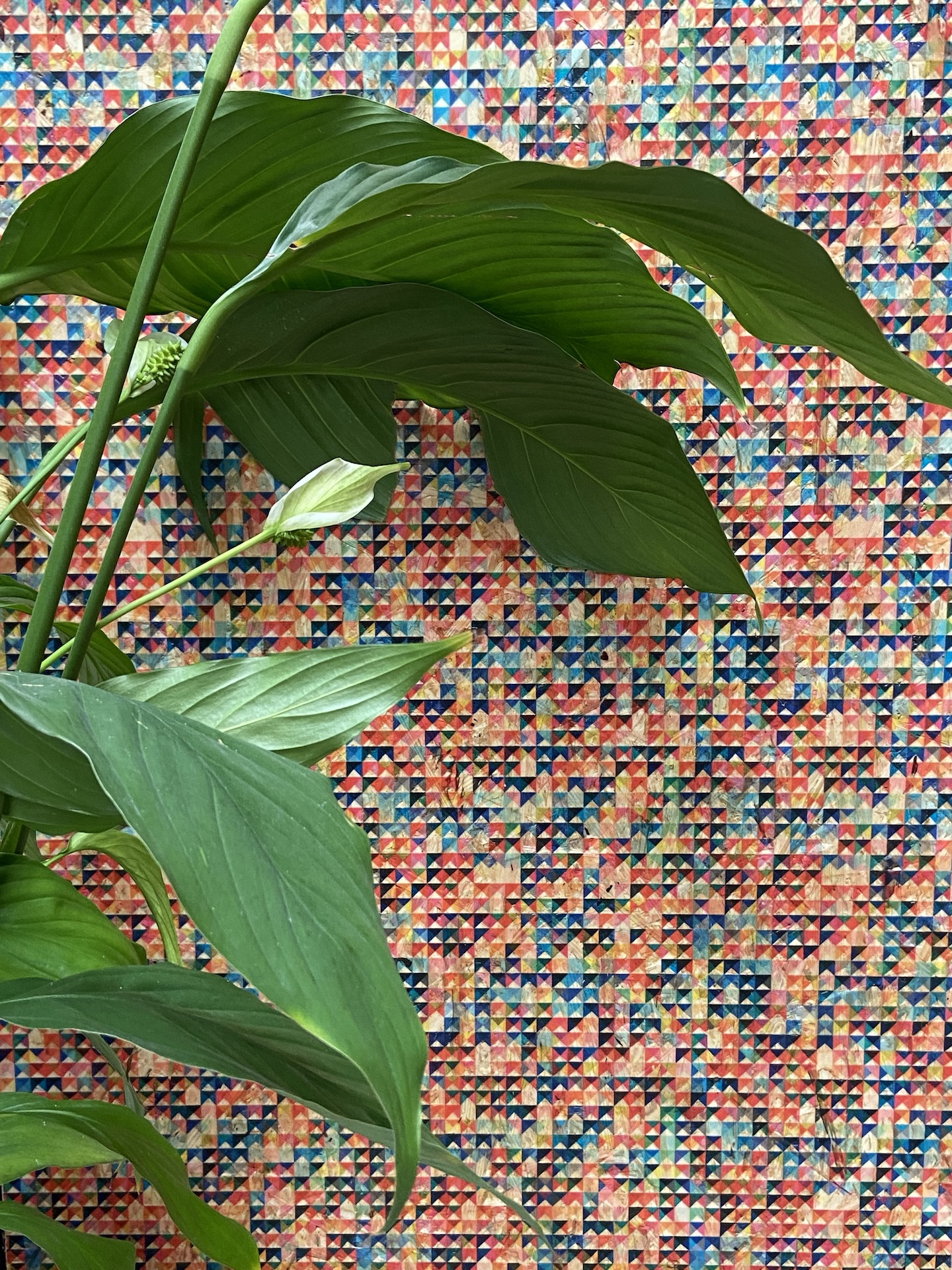 Chipps - Tasty Wood Boards | Chipps