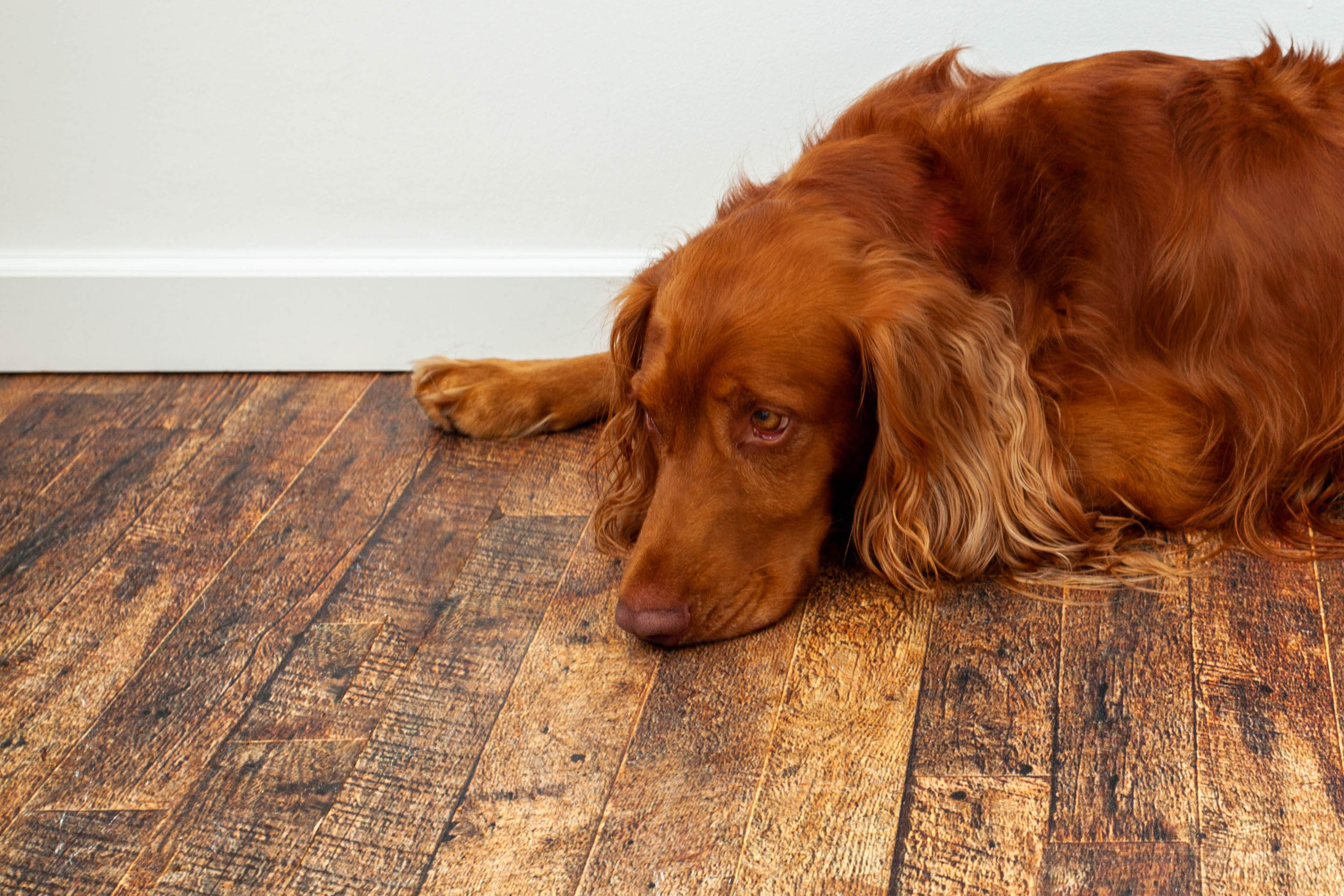 Chipps - Tasty Wood Boards | Chipps